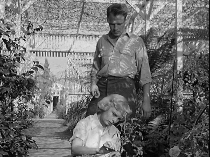 Without Warning! Meg Randall